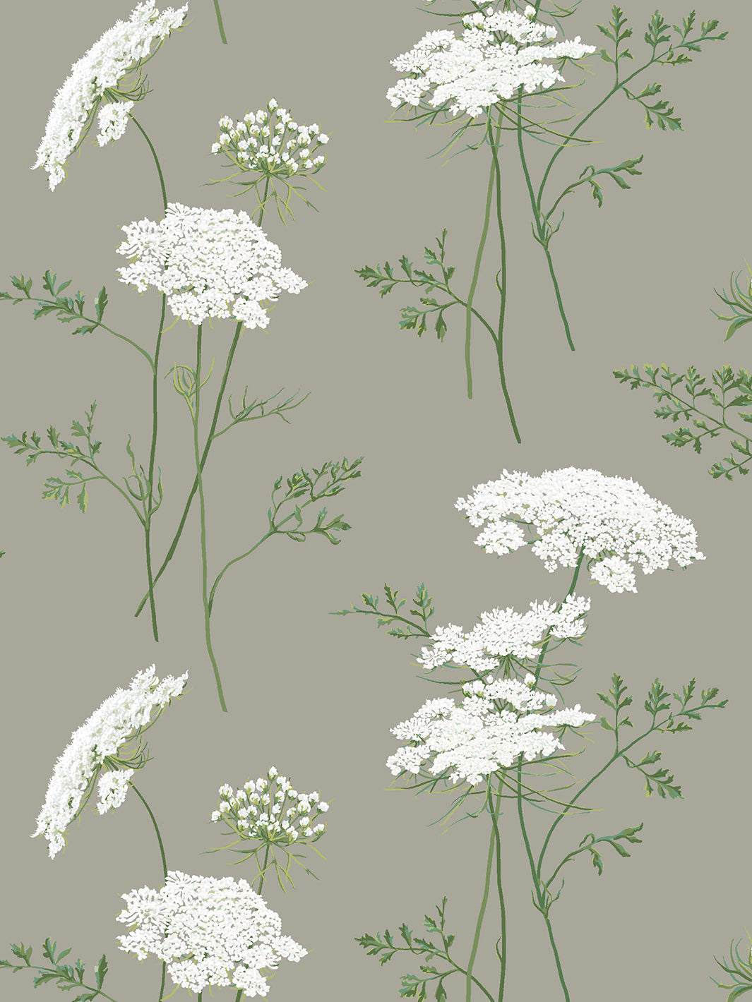 lace wallpaper peel and stick