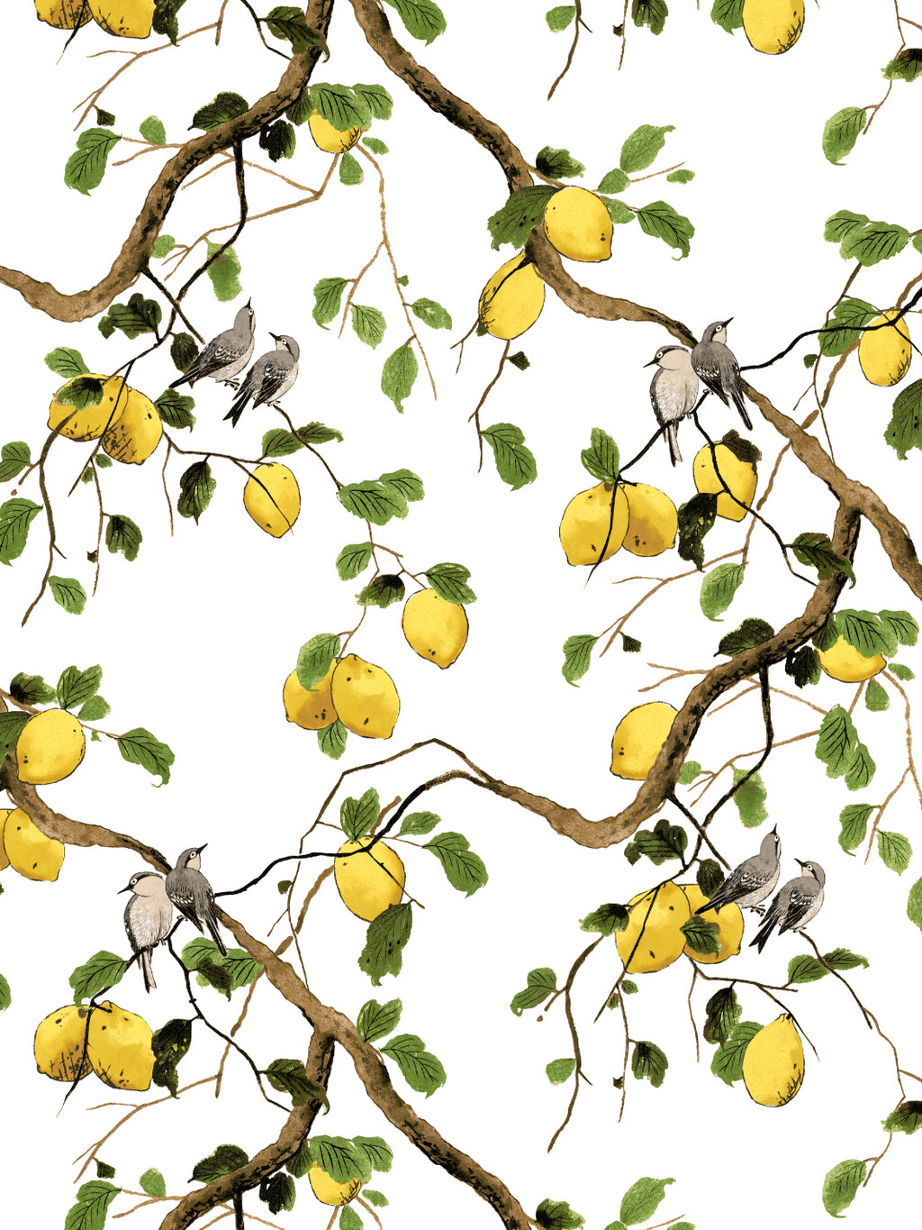 'Lemon Birds' Wallpaper by Nathan Turner - White – Wallshoppe