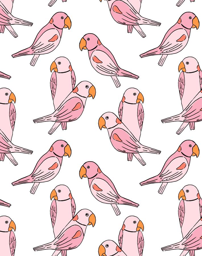 'Alexandrine Parakeet' Wallpaper by Tea Collection - Pink – Wallshoppe