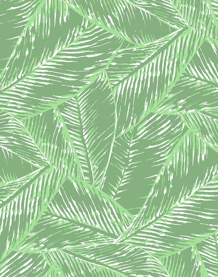 'Best Fronds' Wallpaper by Wallshoppe - Green