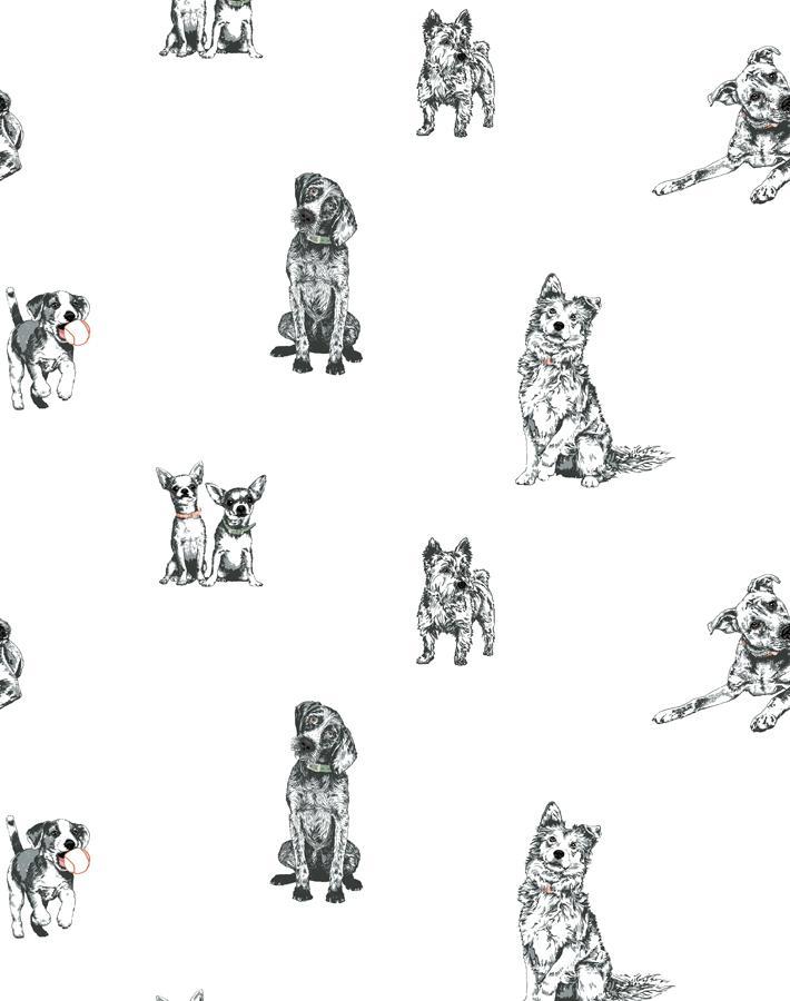 'Mutts' Wallpaper by Nathan Turner - White – Wallshoppe