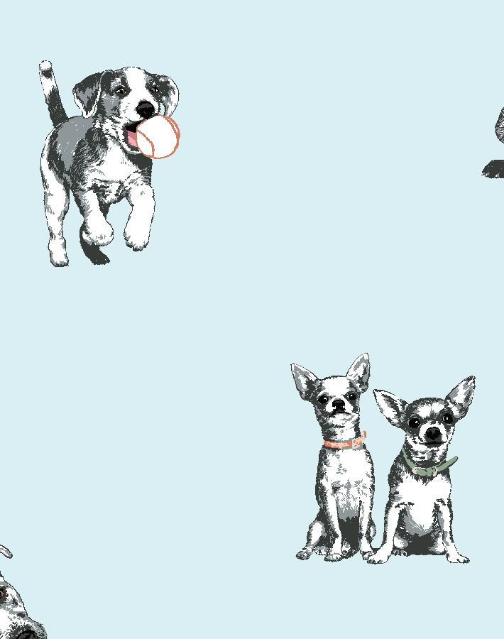'Mutts' Wallpaper by Nathan Turner - Sky – Wallshoppe