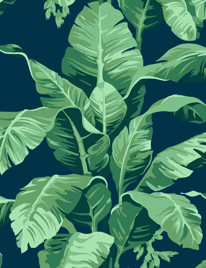 'Pacifico Palm' Wallpaper by Nathan Turner - Green on Indigo – Wallshoppe