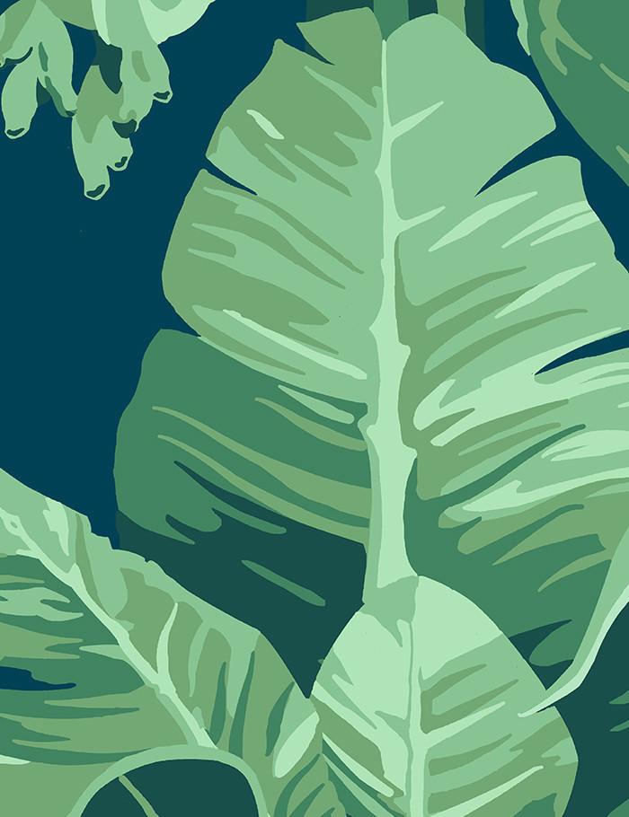 'Pacifico Palm' Wallpaper by Nathan Turner - Green on Indigo – Wallshoppe