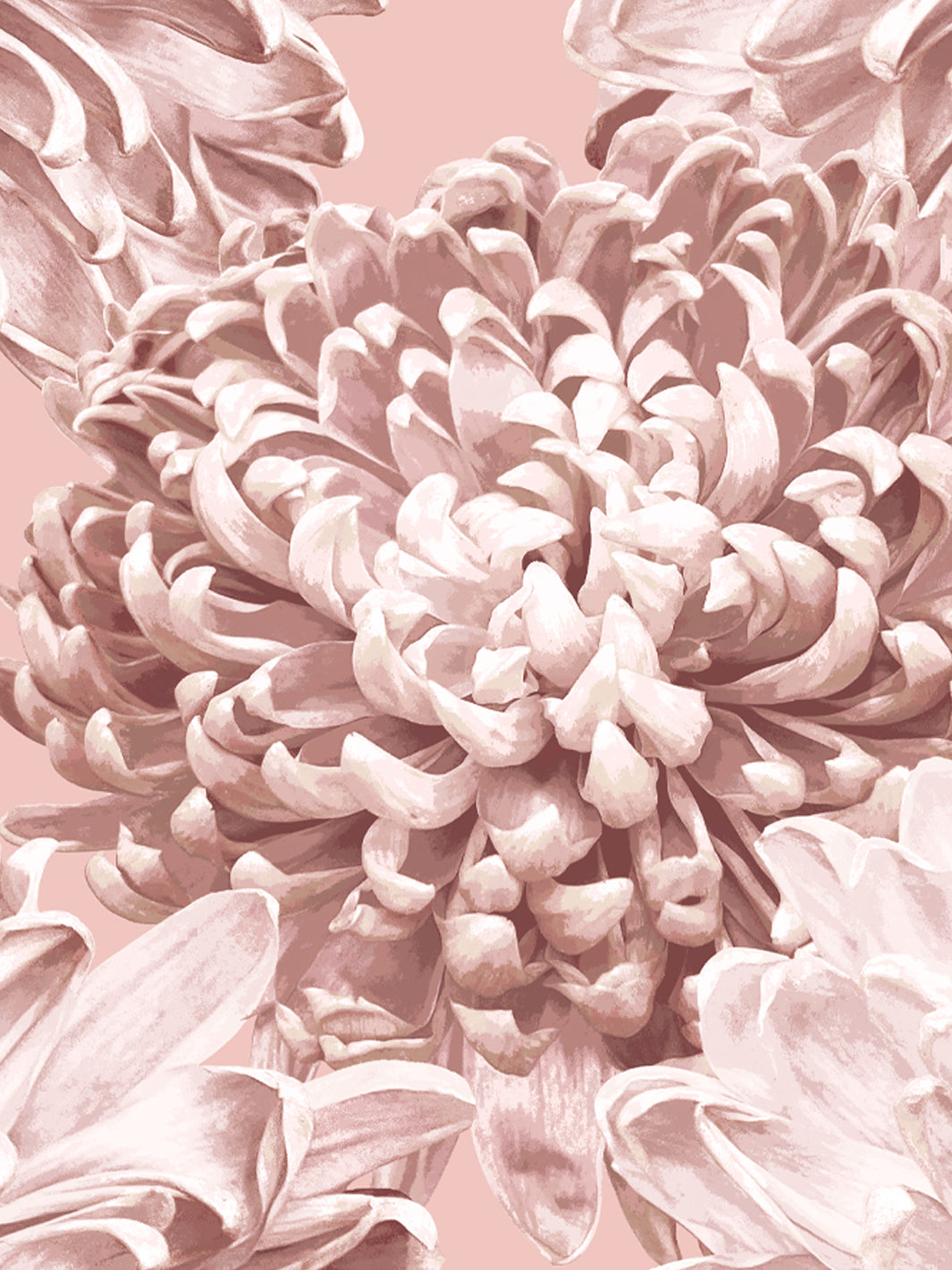 'The Mums' Wallpaper by Sarah Jessica Parker - Bleecker Blush – Wallshoppe